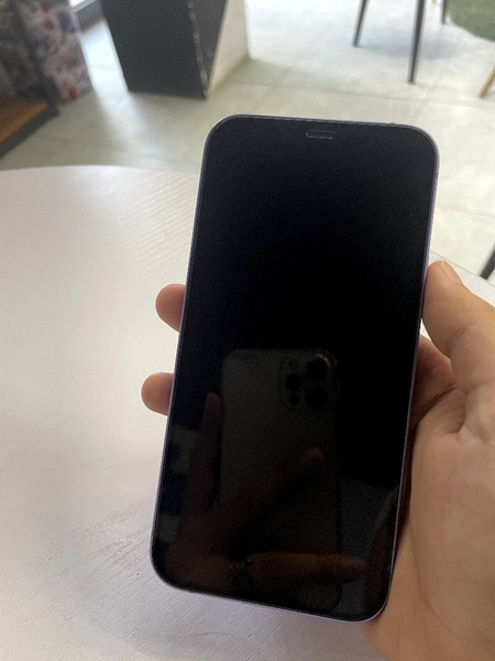 Iphone 12 Purple