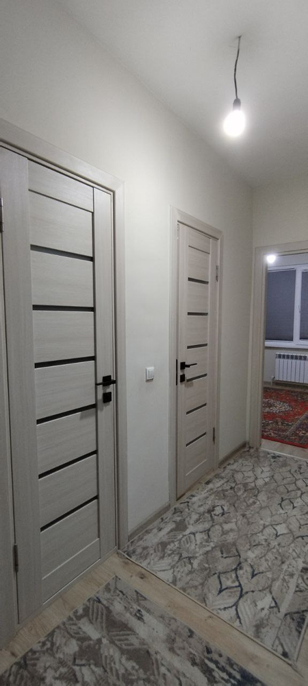 Sergileda kunlik kvartiralar
