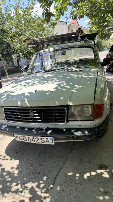 Газ метан 31029
