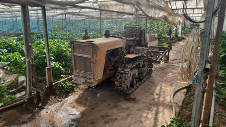 Болгар КД-54 трактор