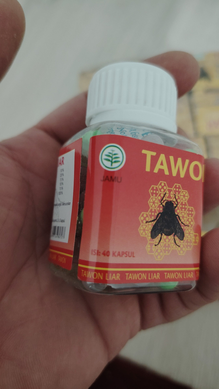 Tawon Lear \\\