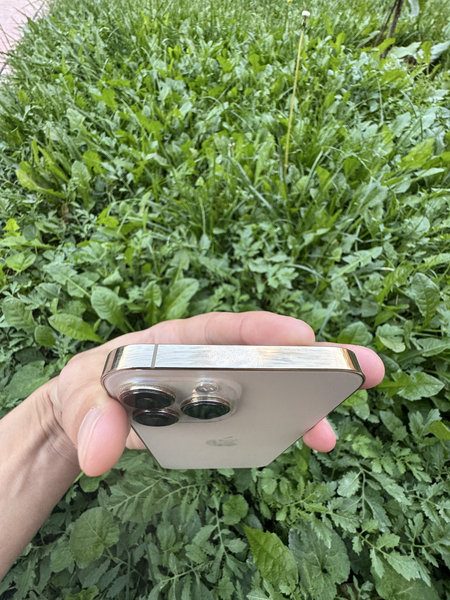 Iphone 13 Pro Max 256 GB
