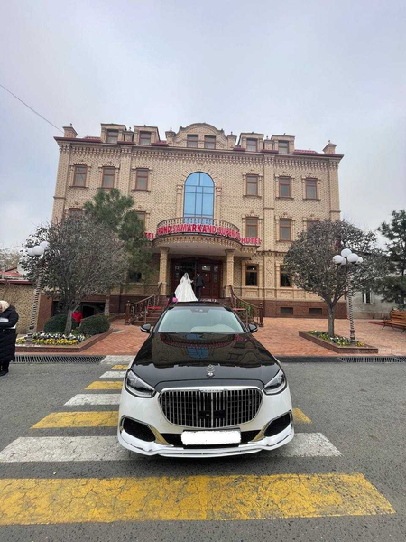 Туй ва бошка маросимлар учун  W223--W222