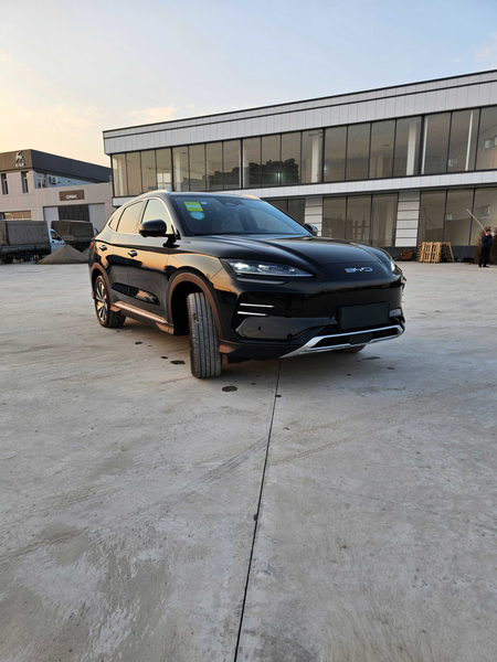BYD Champion 605KM Full 2024