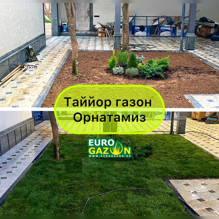 Рулонный газон в ташкенте от официального дилера