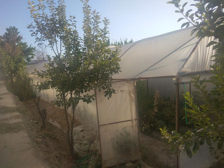 Parnik issiqxona tez va arzon sotiladi