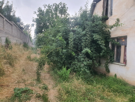 Dacha ( yer maydoni+mevali daraxt+1 xona uy) sotiladi