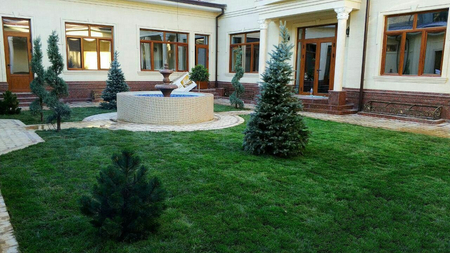 Gazon, landshaftniy dizayn