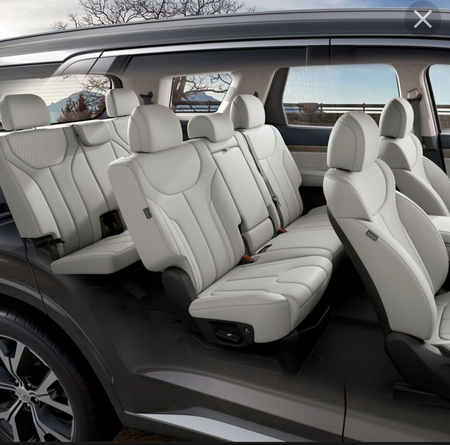 Hyundai palisede halol nasiya