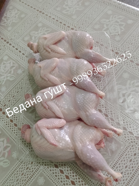 Бедана белый гигант