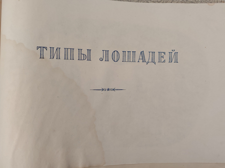 Альбом пород лошадей СССР