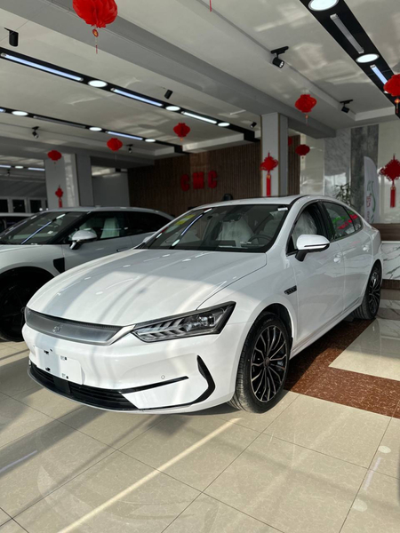 BYD Qin full 5 pozitsiya
