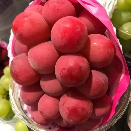 Японский узум кучатлари. Гаранияси билан