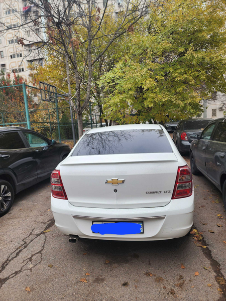 Cobalt 4 pazitsiya 2024