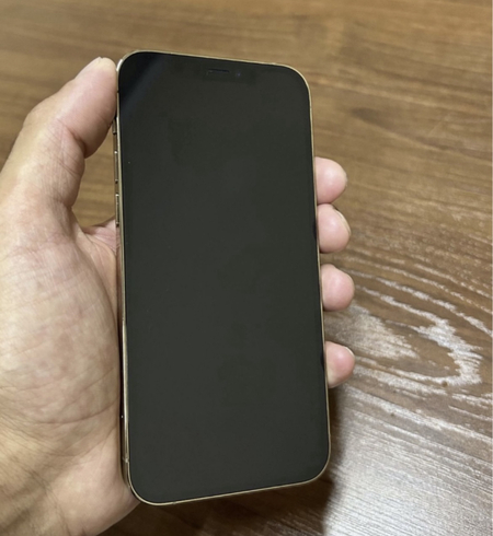 Apple Iphone 12 pro
