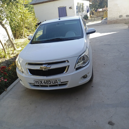 Kobalt mexanika 2019 yil