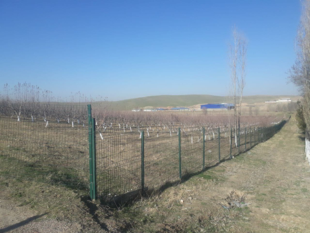 Земля 3 гектаров