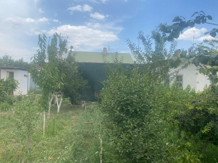 Продается дом на земле