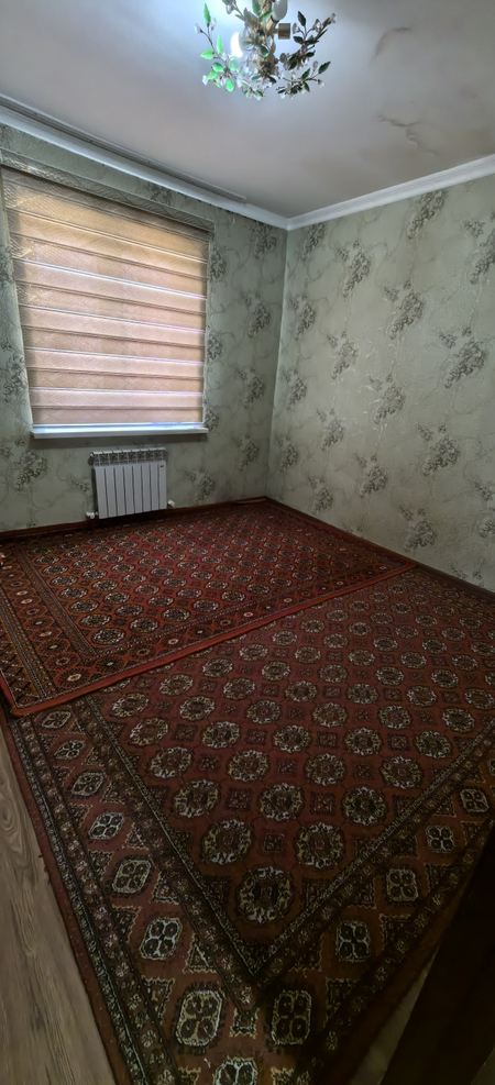 Мирзо Улугбек Сельхоз Сампи йонида. Шериклика 2 та  талаба киз оламан.