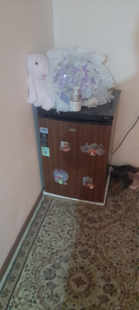 Ijara kvartra faqat qizlarga