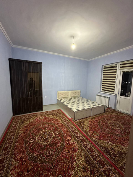 Motrid ijaraga beriladi