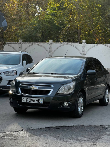 Cobalt Ltz  2019
