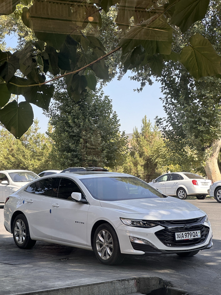 Malibu 2 Premier