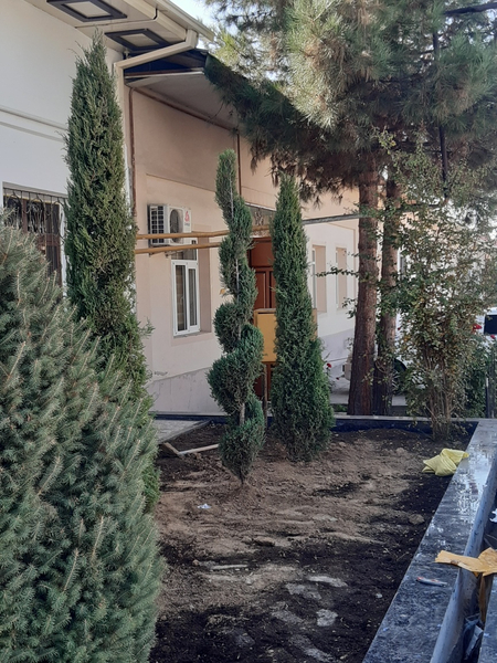 Ekish hizmat gul archa gazon