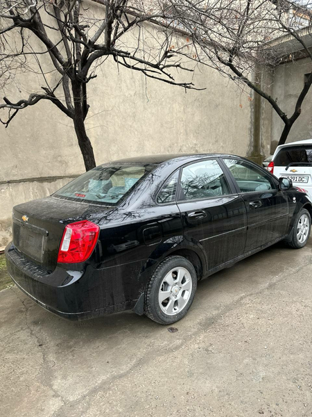 Жентра елегант экспортный