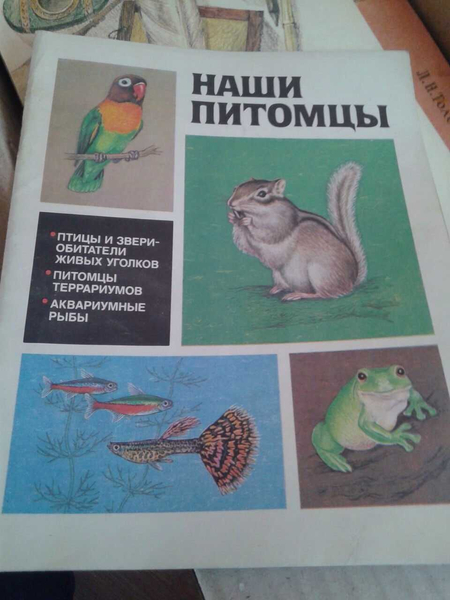 Мир книги джунглей Линдблад Ян