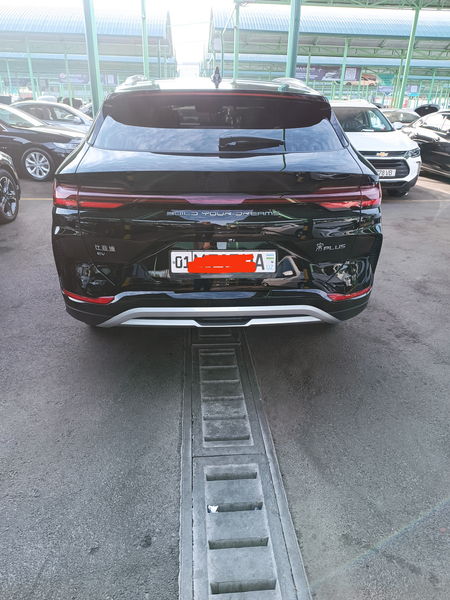 Чемпион фулл пазитса BYD