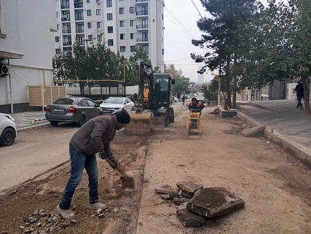 Shvarez. Asfaltorez uslugi