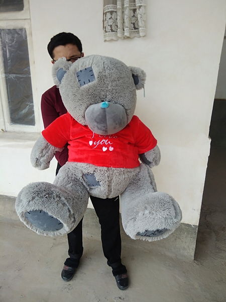 Тедди Teddy Teddi Teddiy Orginal Optom 1+1