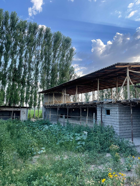 Продаётся дом в Ташкентском вилояте