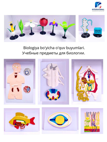 Услуга 3Д Принтера. 3D Printer xizmati.