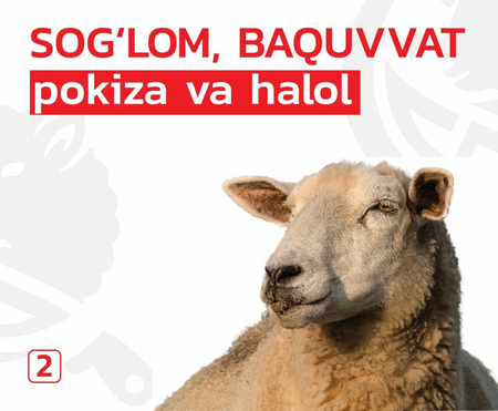 Qassobchilik xizmati