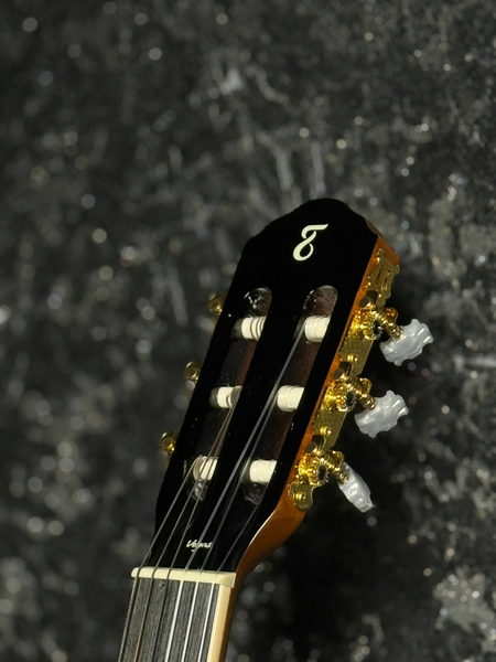 (MUSIC BRAND) Tagima Gitara