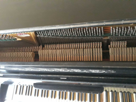 Pianino Rostov don.