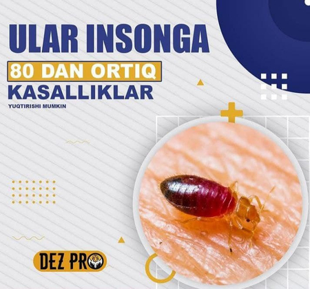 Dizinfeksya islimiz KLAPO ga Qarsi