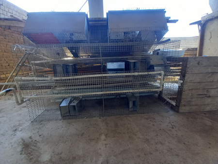 Quyonlaga qapasla