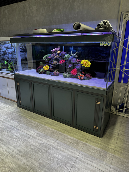 Akvarium yuqori sifatli Aquashop