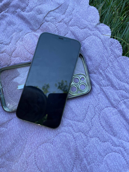 iPhone 12 pro max
