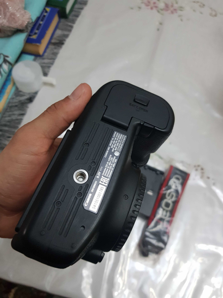 canon 6d mark 2 body