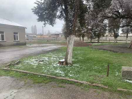 Arenda zdaniya 700 kv