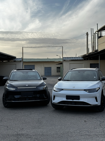 LeapMotor C11 Performance 580 KM