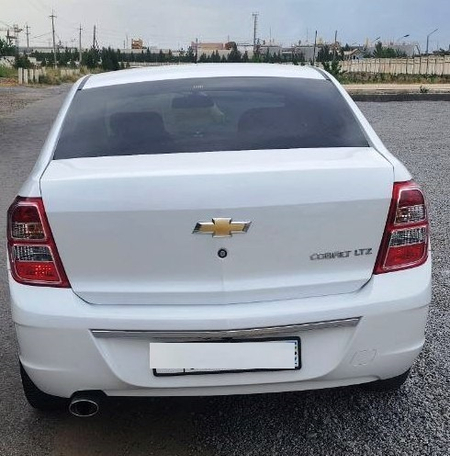 Cobalt full navarot 2023