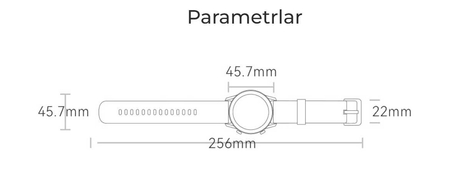 Smart Watch Haylou RT2