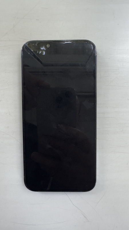 iPhone 13 Pro L/LA Green