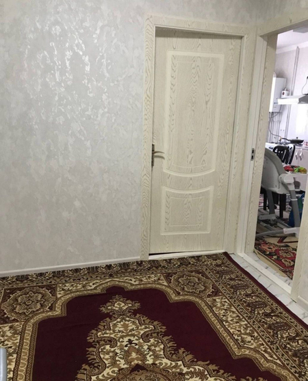 Сергели янги хает