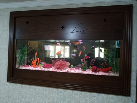 Akvarium yasashga zakas olamiza